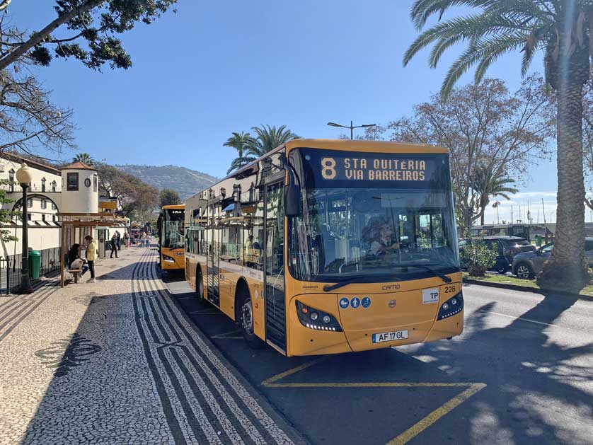 Buses in Madeira